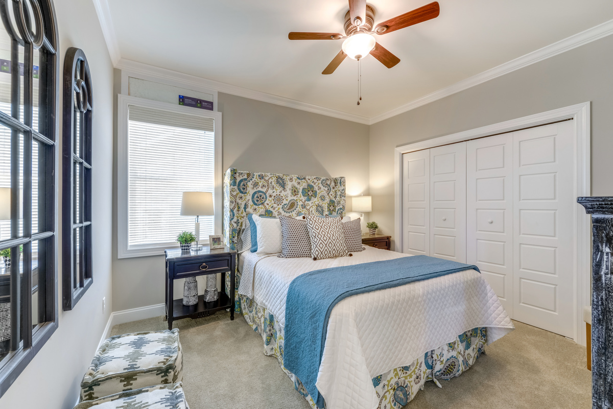 The Whimbrel at Saddle Ridge - Study - Idea Gallery